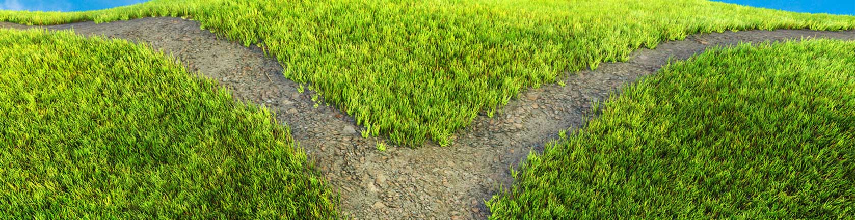 Two Ways to Implement EOS in Your Business