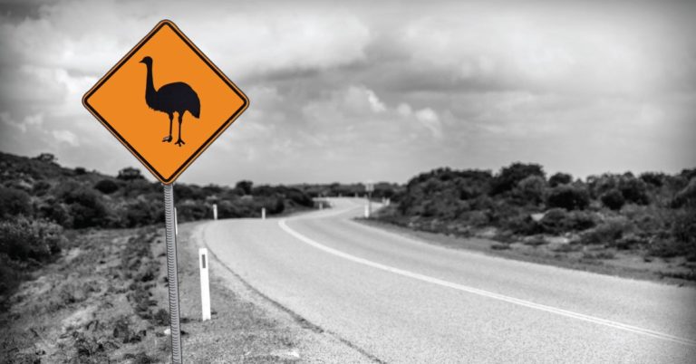 The Power of the Issues List