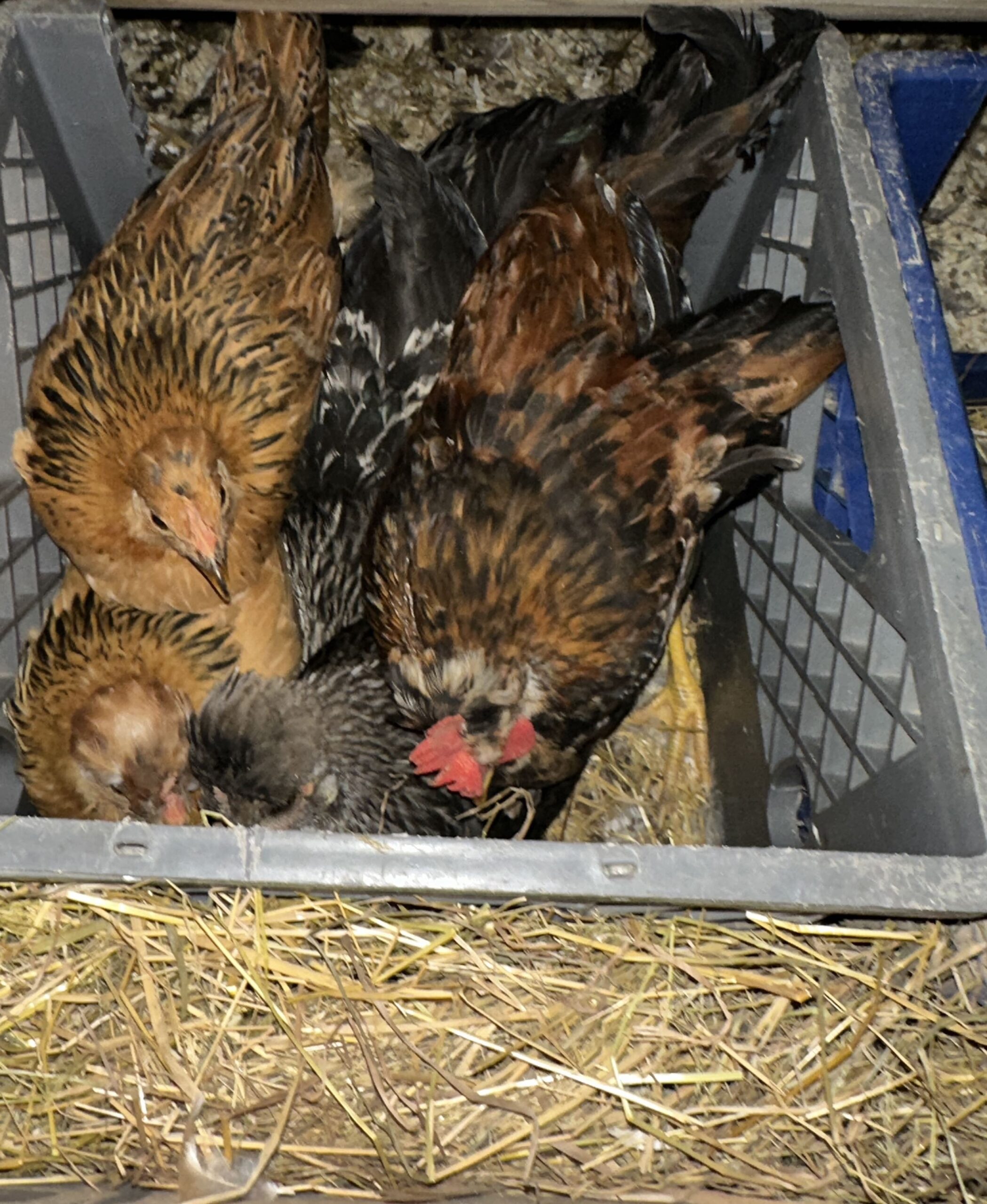 Let's Start Pooping in the Right Place - EOS Worldwide